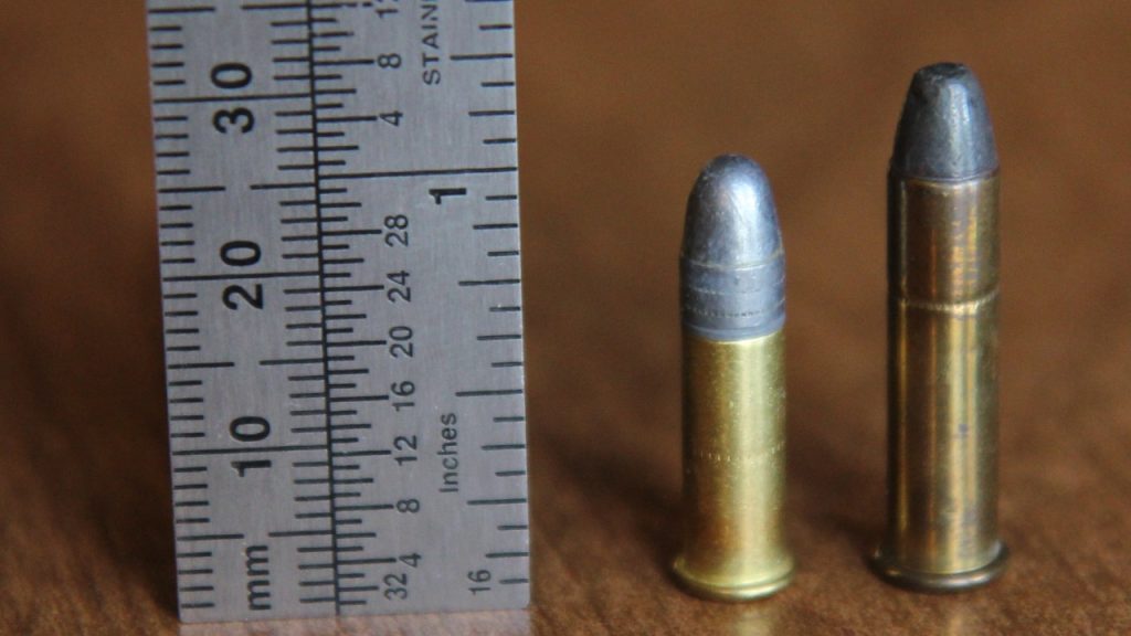The Most Reliable .22 Rifles Hunters Still Depend On – Wilderness Marksman