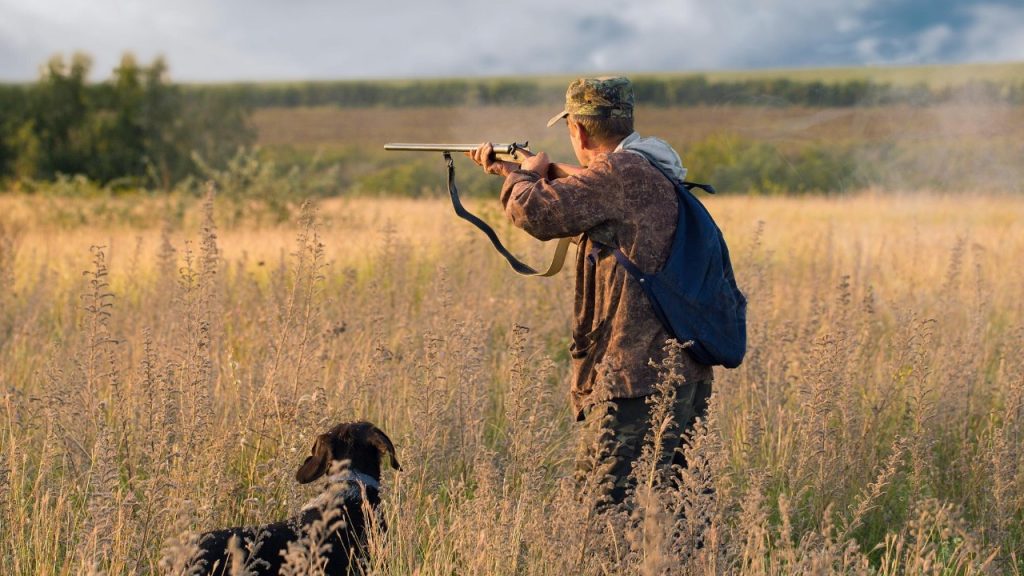 Hunting Habits That Scare Off Deer Faster Than Most Realize — And How ...